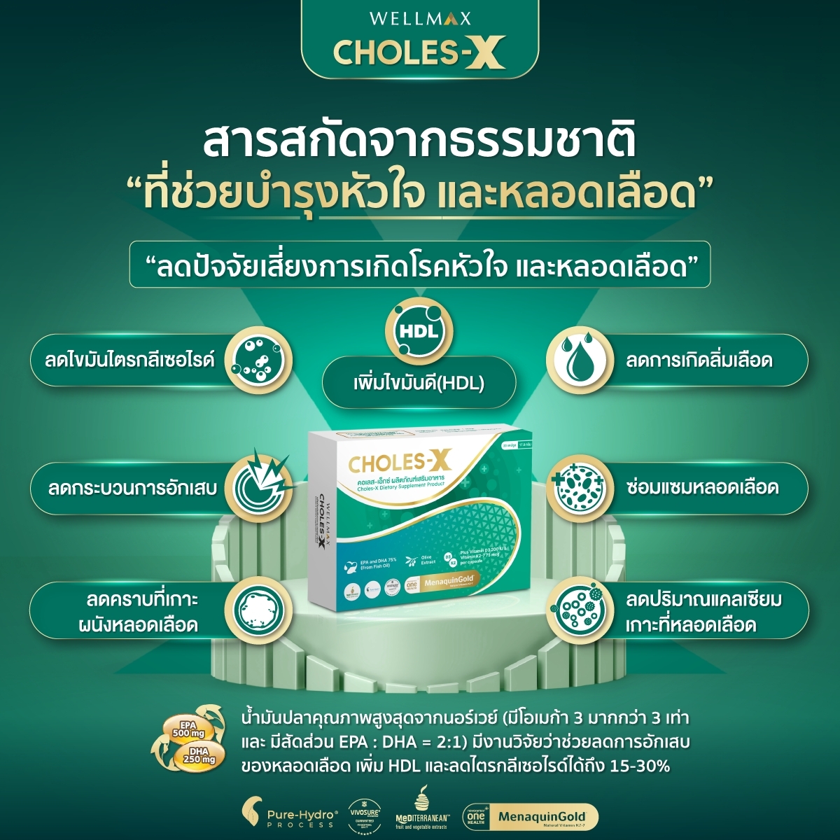 Choles-X ลดไขมันในเลือด - Choles-X